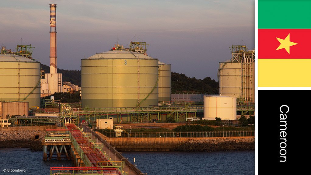 Cameroon liquid natural gas project