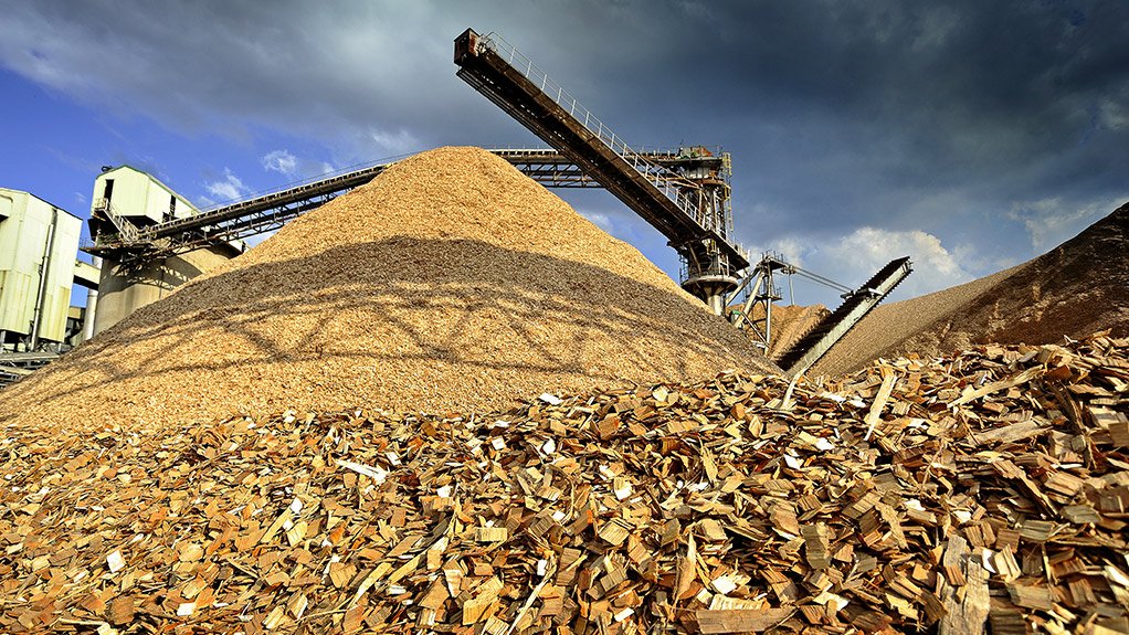 Paper industry doing well, despite struggling economy