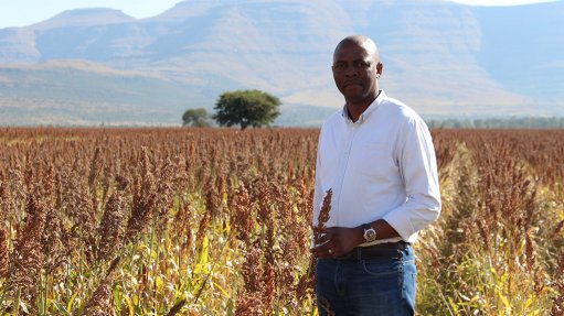 ECRDA: Eastern Cape Rural Development Agency unveils R46.5 million ...