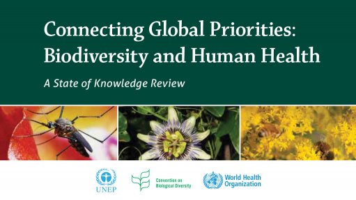 Connecting Global Priorities: Biodiversity and Human Health A State of ...