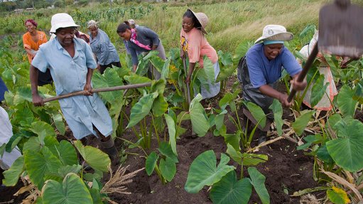 Community upliftment central to success of social labour plans