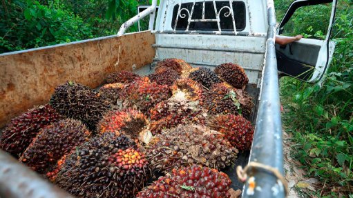 Pathways to deforestation-free food