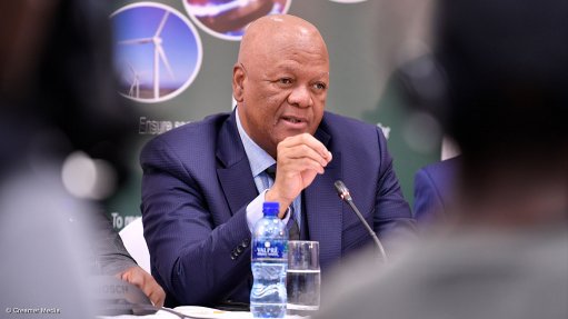 Radebe says labour cannot be 'left behind' in energy transition