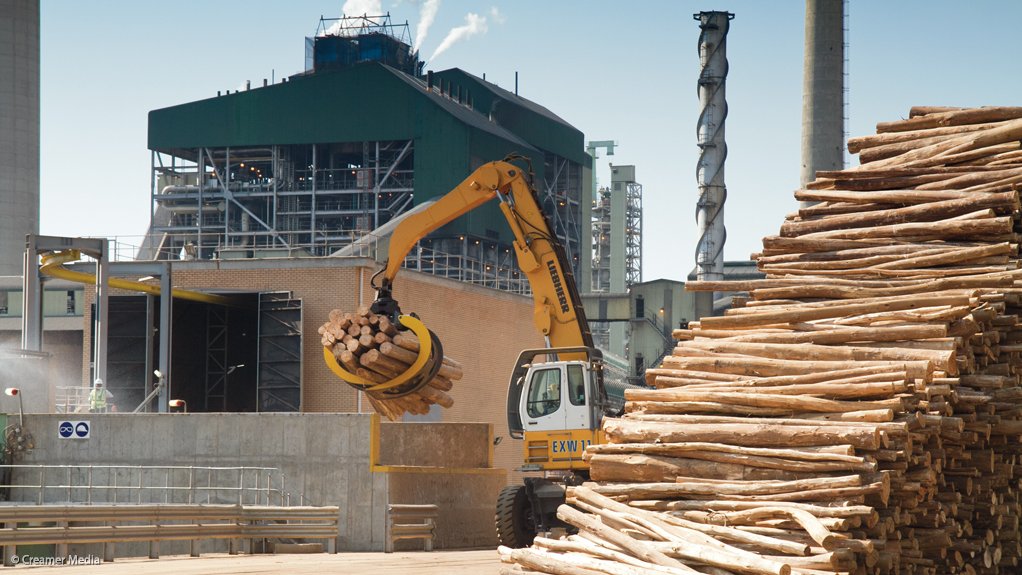 Sappi says dissolving wood pulp prospects remain strong despite near ...
