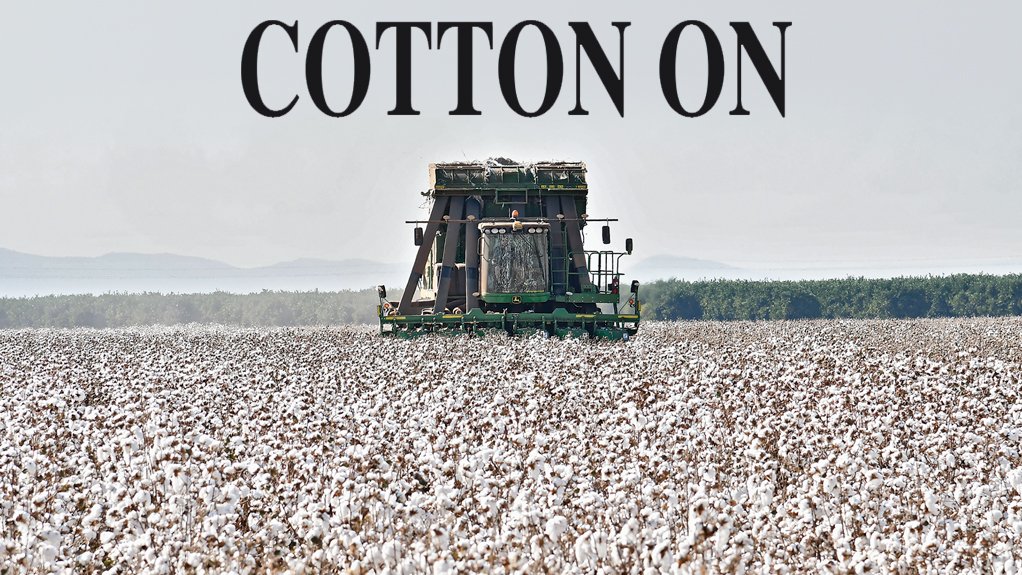 Partnerships pull domestic cotton industry from doldrums