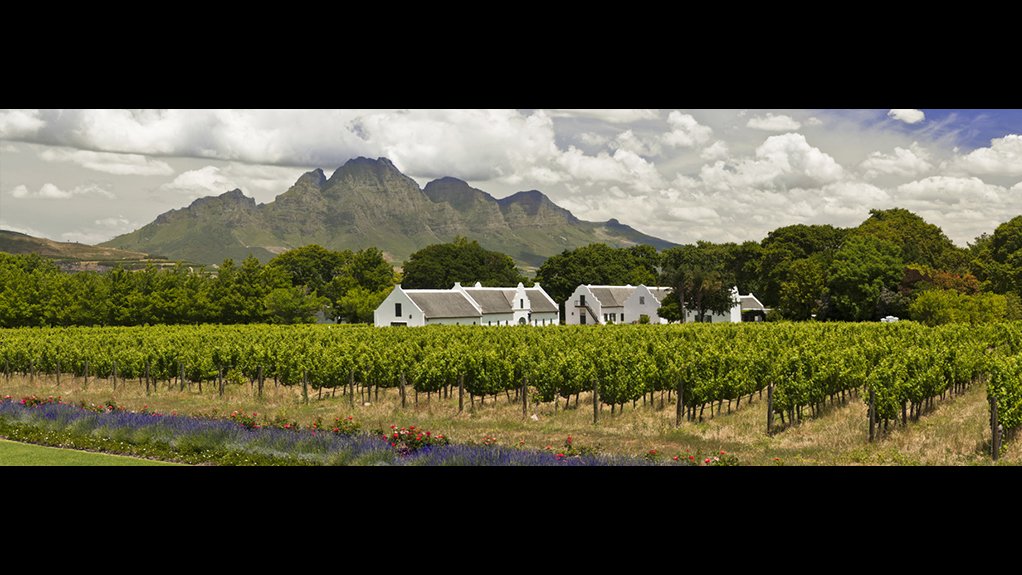 Digital network launched to support wine sector