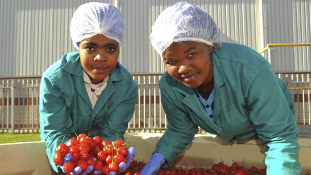 Coega Development Corporation