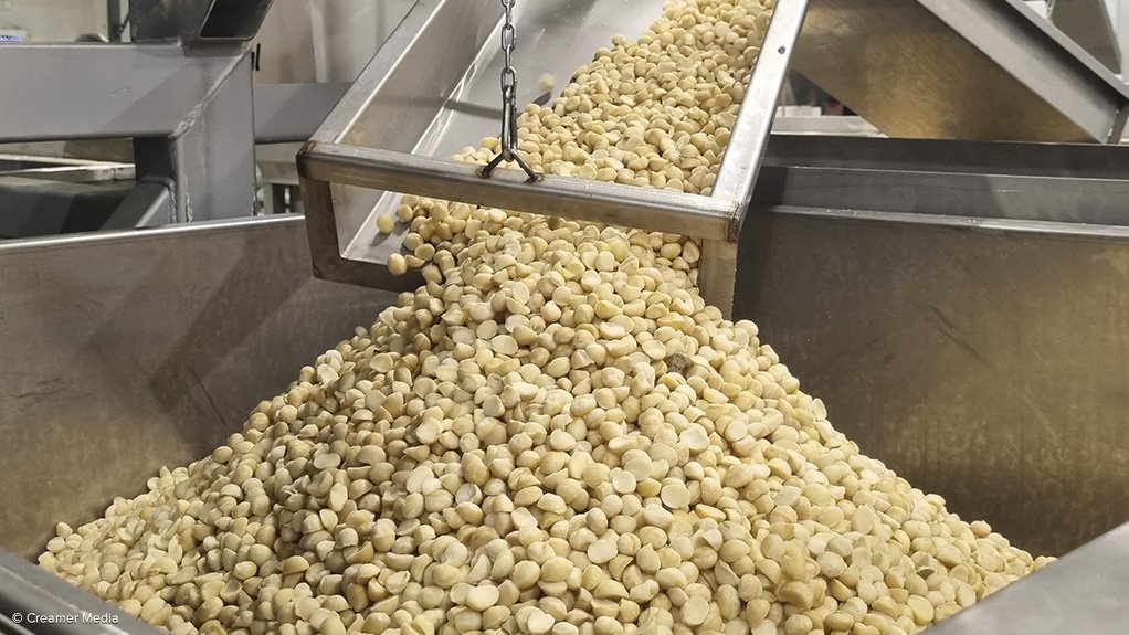 Macadamia factory success is testament to what collaboration can achieve
