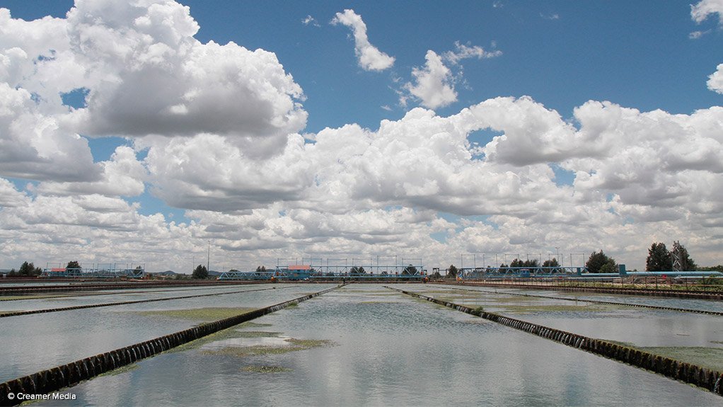 Green Drop report released, showing decline in Green Drop Certifications