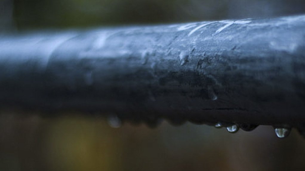 Water and salt balance development and importance