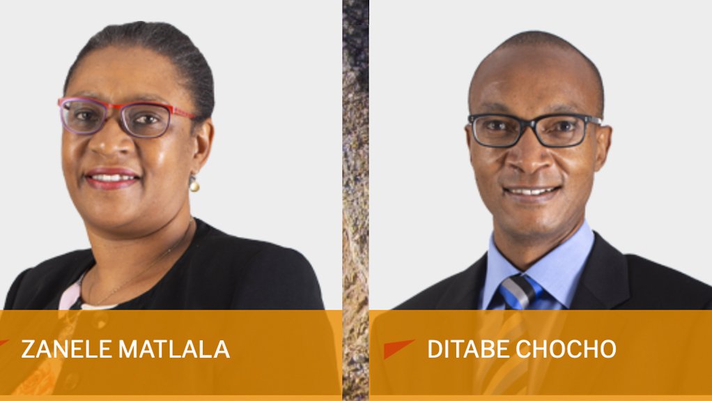 Plans progressing for 744 MW of energy for alloys business – Merafe