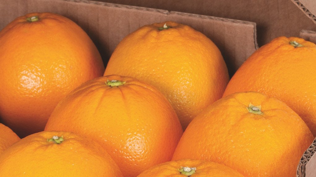 Orange export expectations drop lower as severe weather threatens volumes