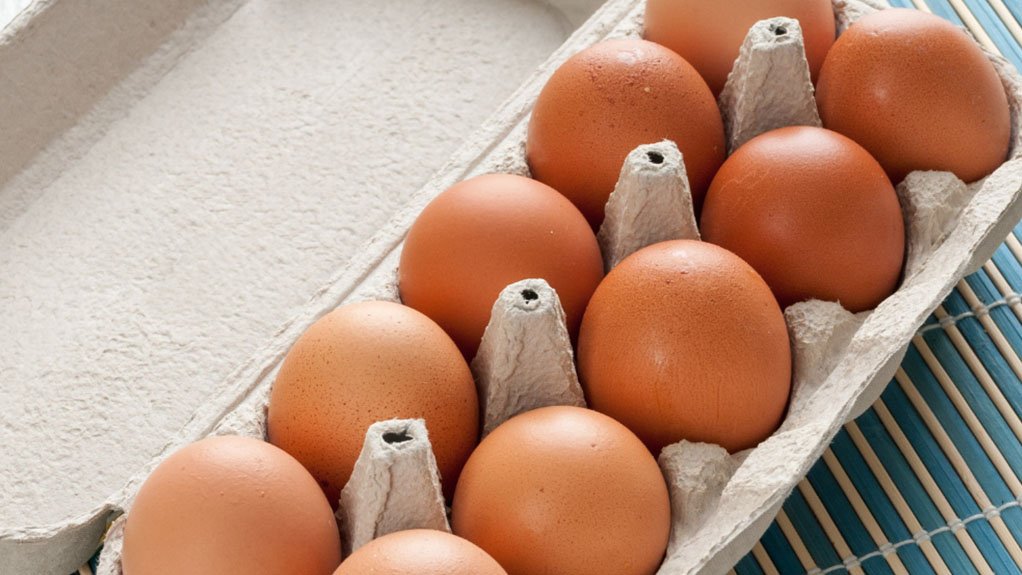 First Egg Master Plan project hatched in Gauteng West Rand
