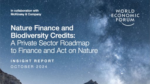 Nature Finance and Biodiversity Credits: A Private Sector Roadmap to ...