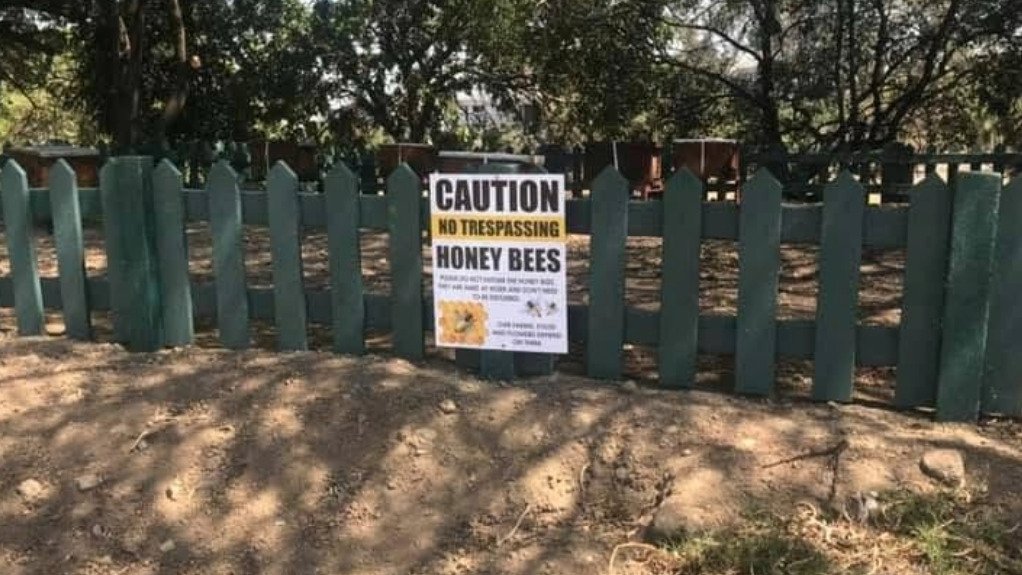 Growthpoint hosts eight thriving beehives at Woodlands Office Park