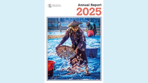 WTO 2025 Annual Report